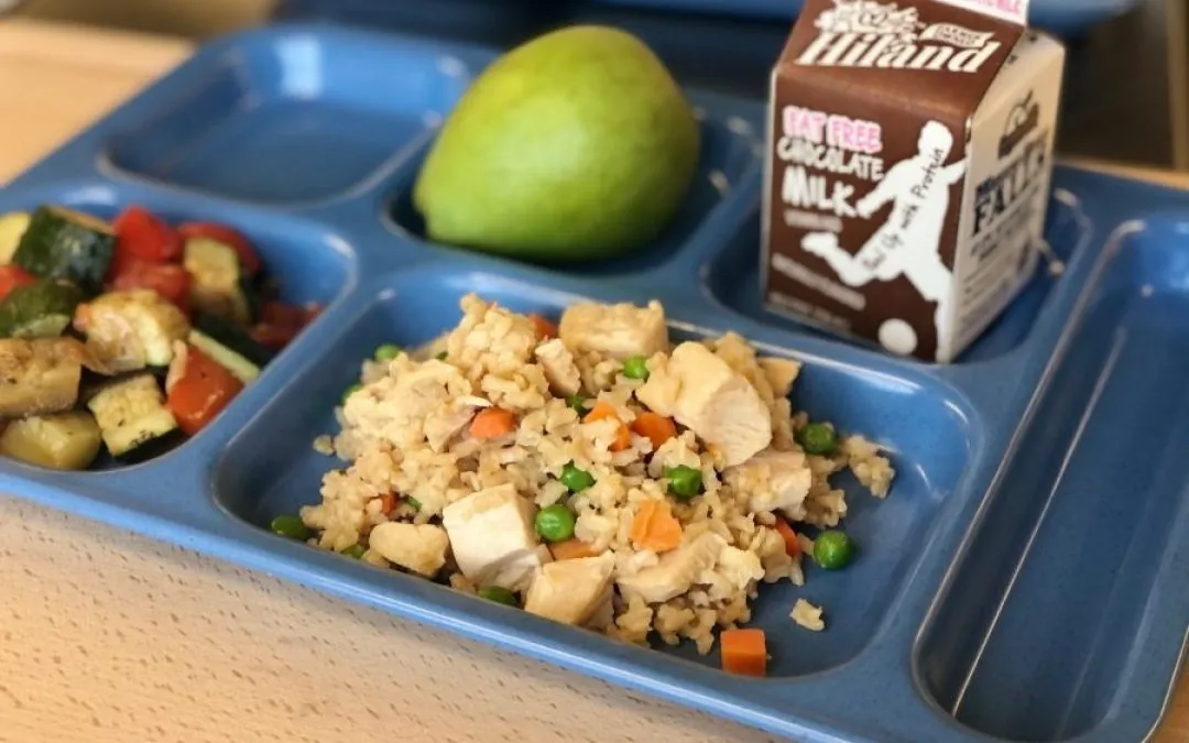 Chicken Fried Rice | Cooking for kids